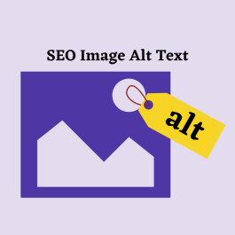 Magento 2 Product Image Alt Text for SEO | Webiators