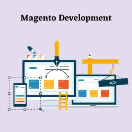 Professional Magento Development Services - Webiators